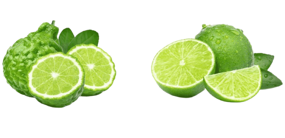 What is the Difference between Kaffir Lime and Regular Lime ...